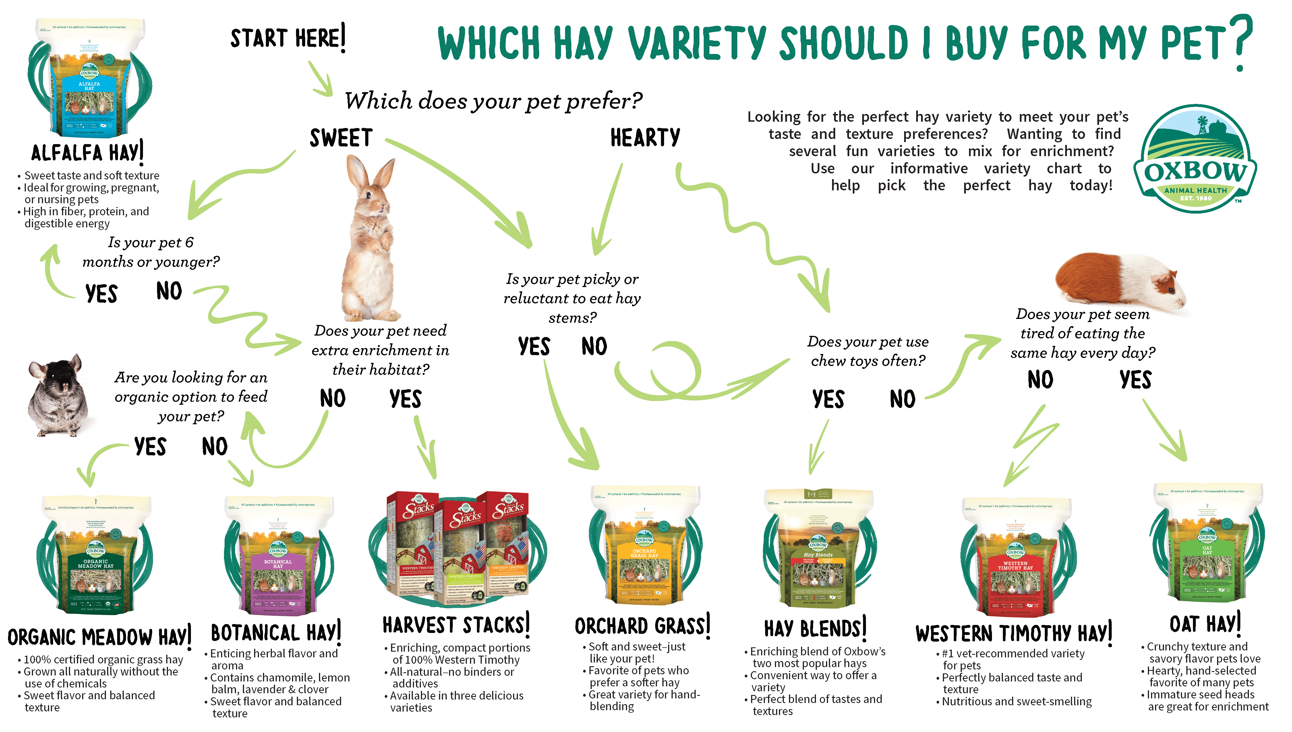 How to Pick the Perfect Hay - Oxbow Animal Health