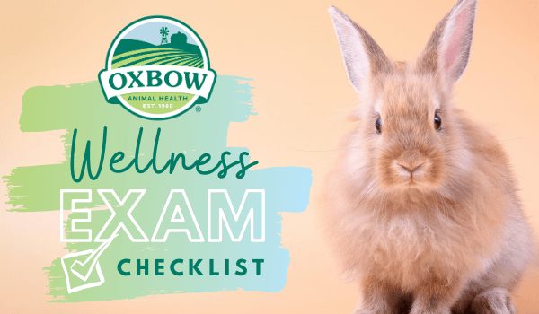Wellness Exam Checklist
