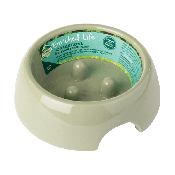 Small Animal Products by Oxbow Animal Health | Shop Today