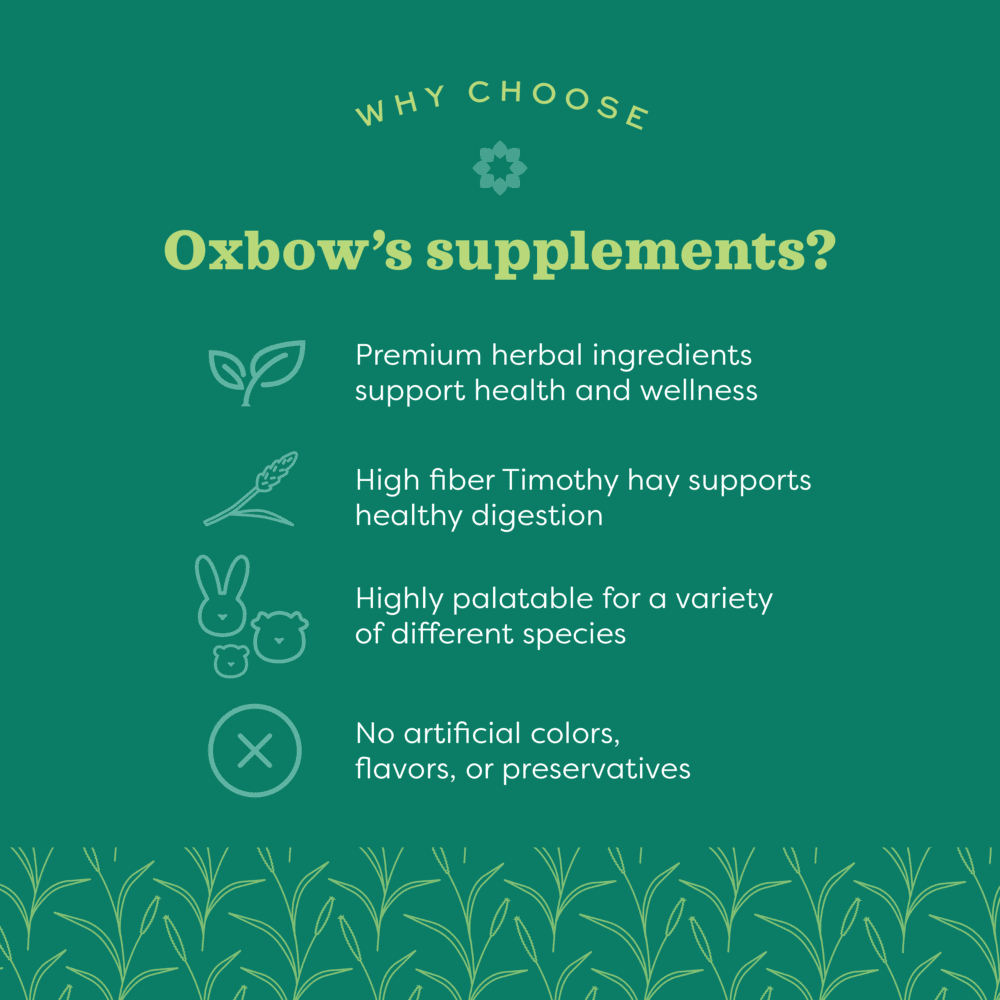 Natural Science Vitamin C Support - Oxbow Animal Health